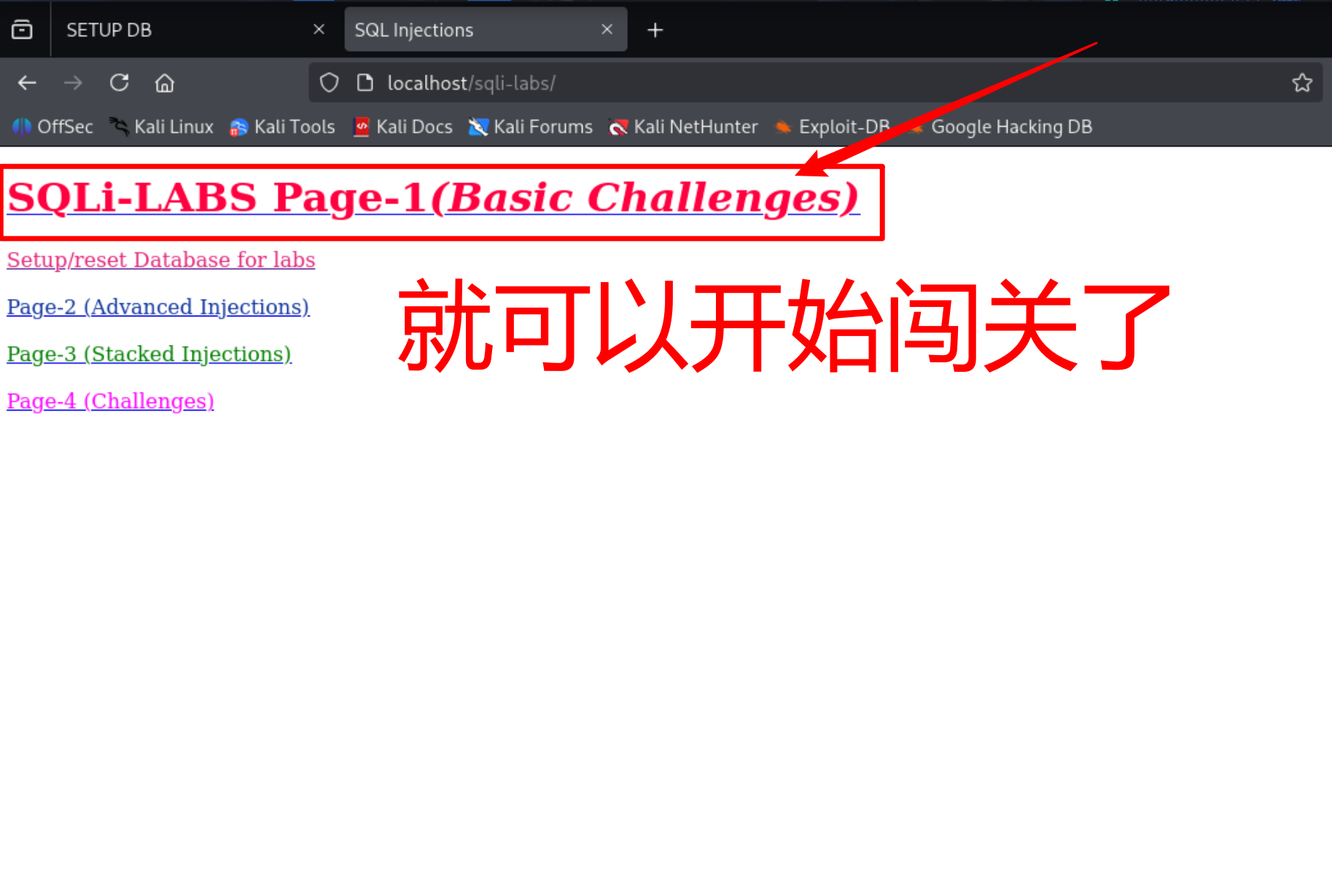 kali部署sqli-labs（图文教程超详细）-CSDN博客
