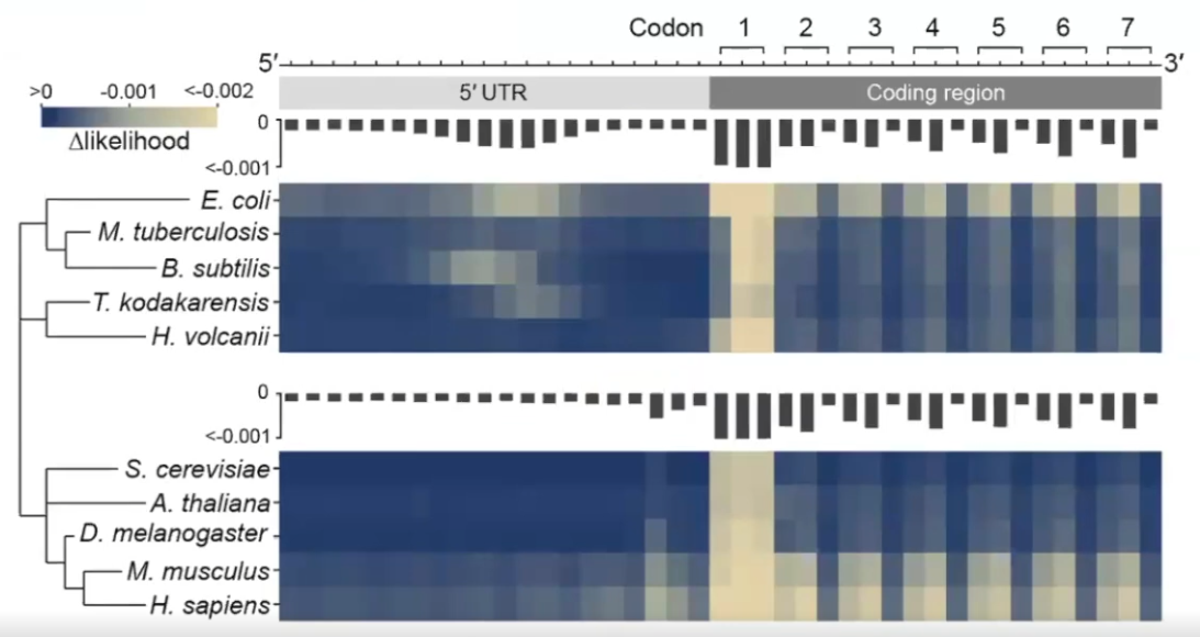 Evo2 论文讲解_基因 模型 evo2-CSDN博客