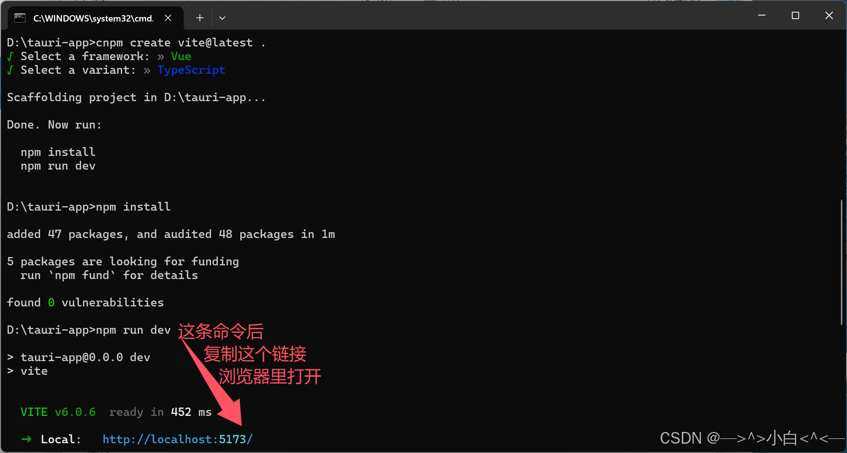 初次构建tauri项目_tauri创建项目-CSDN博客