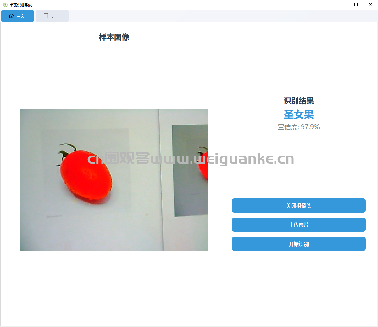 果蔬识别系统-PyQt5 + TensorFlow +MobileNet（CNN）_果蔬识别cnn-CSDN博客