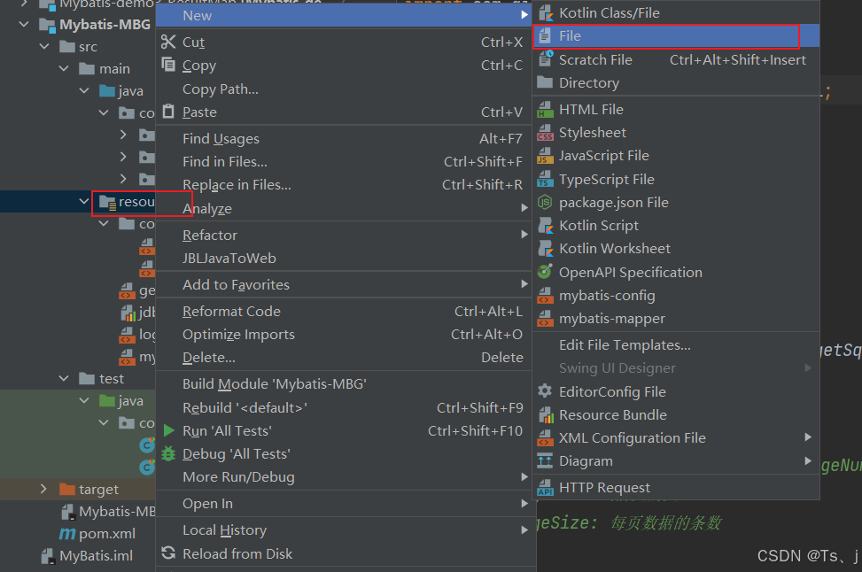 MyBatis逆向工程-CSDN博客