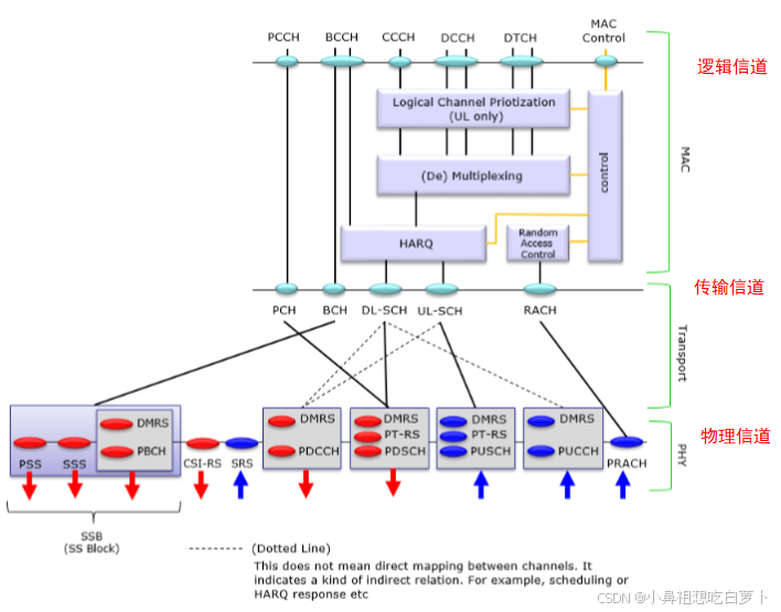 5G学习笔记之L2架构_5g l2-CSDN博客