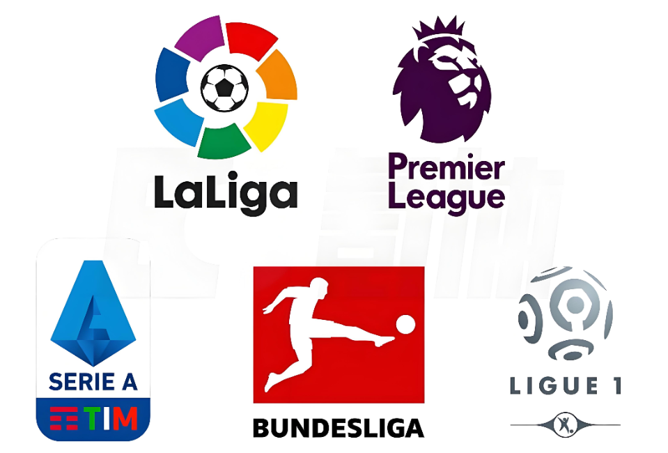 五大联赛谁最假？-CSDN博客