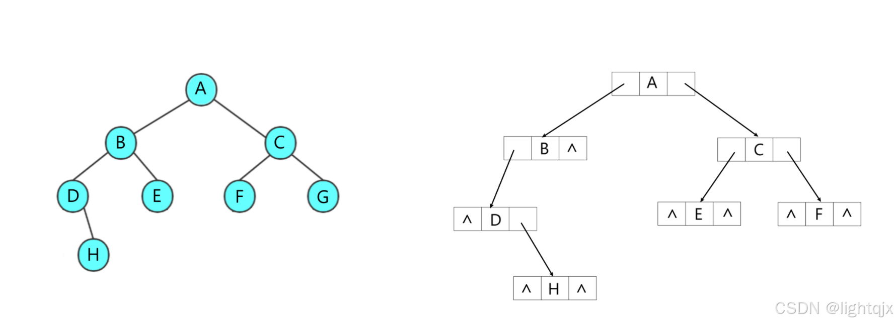 【数据结构】二叉树（binary tree）-CSDN博客