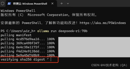 手把手教你windows本地机器部署Deepseek_verifying sha256 digest-CSDN博客