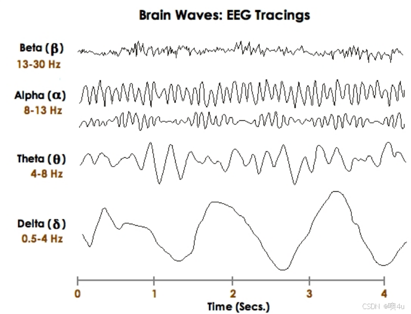 《人工智能与脑认知》期末复习（认知科学概述、脑电EEG、相关事件电位ERP、主要实验范式）_认知神经科学期末-CSDN博客
