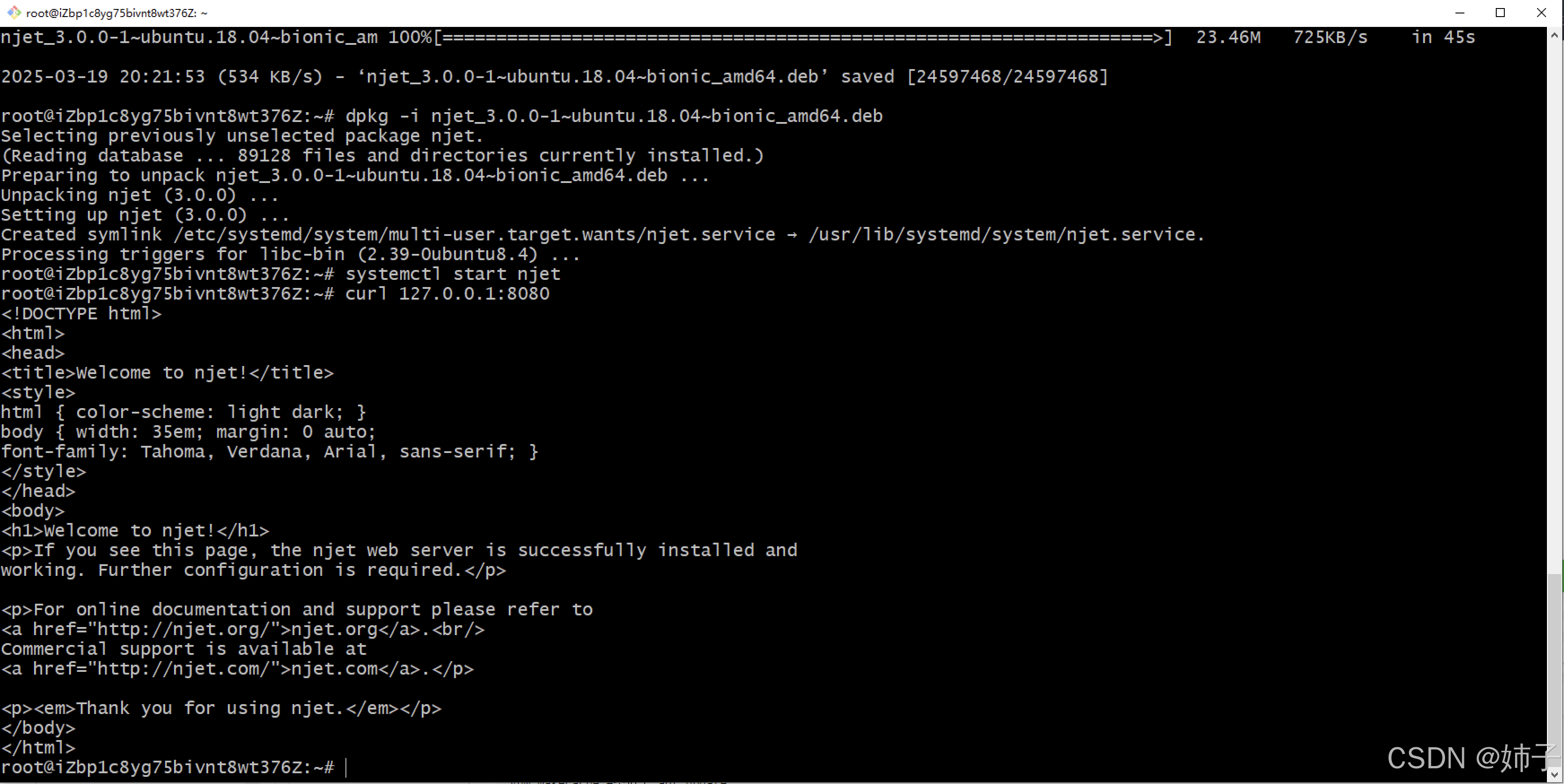 OpenNJet应用引擎，玩玩动态配置动态设置access log 配置接口，全程零配置_零配置 网关 引擎-CSDN博客
