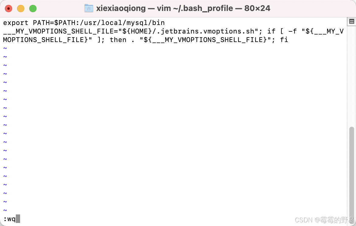 MacBookPro（M1芯片）安装Java开发环境及软件_mac安装java开发环境-CSDN博客