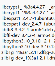 项目交叉编译_手动下载libpython3.10的库-CSDN博客