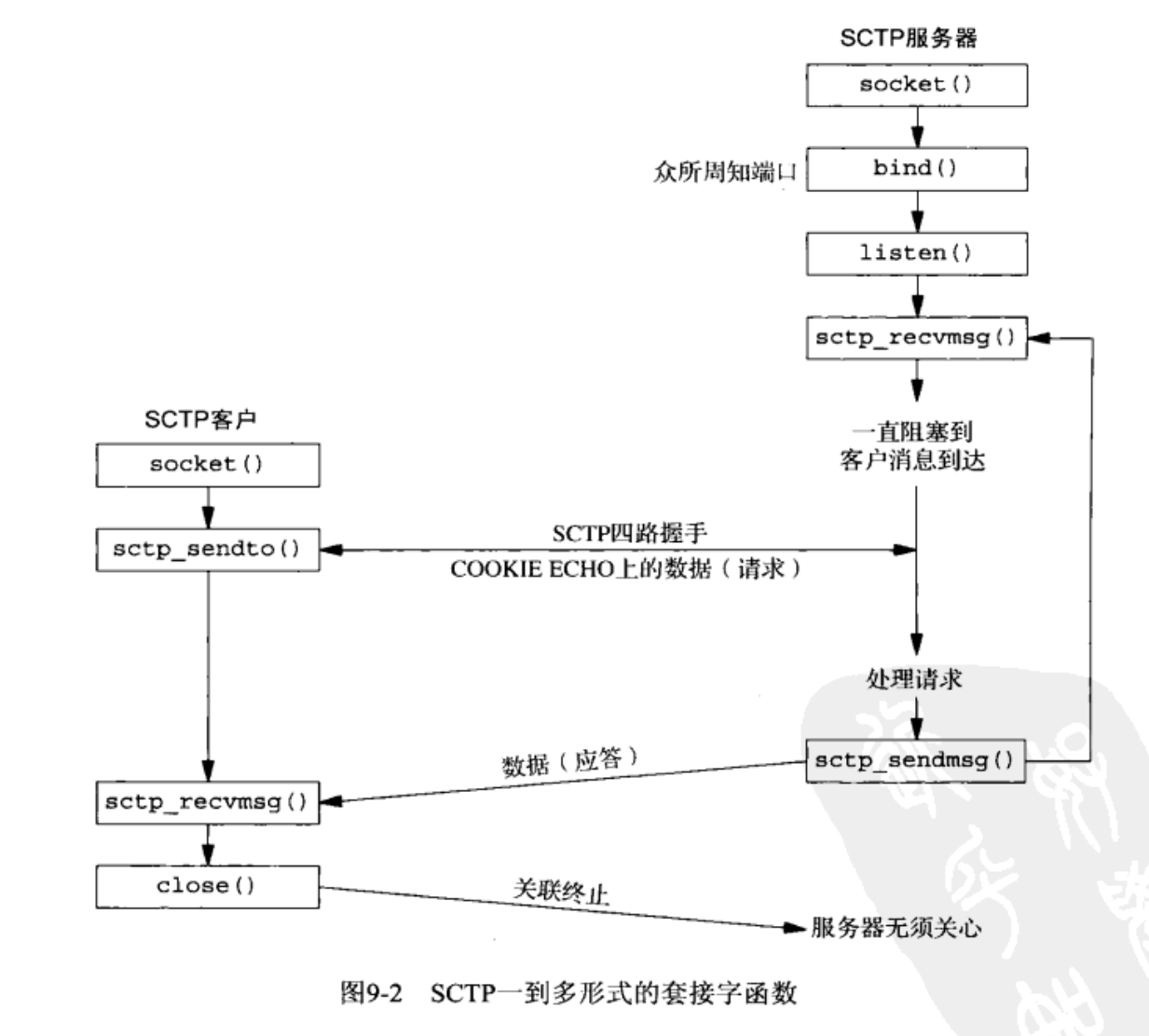 UNP第一卷 第九章--基本 SCTP 套接字编程-CSDN博客