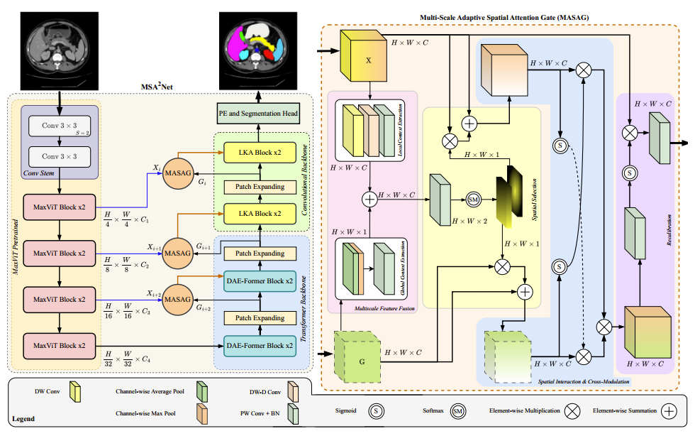 MSA2Net: Multi-scale Adaptive Attention-guided Network for Medical Image Segmentation_msa虏net ...