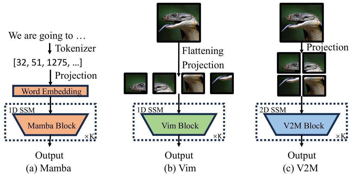 CVPR | 2024 | Visual Mamba 综述(更新中)-CSDN博客