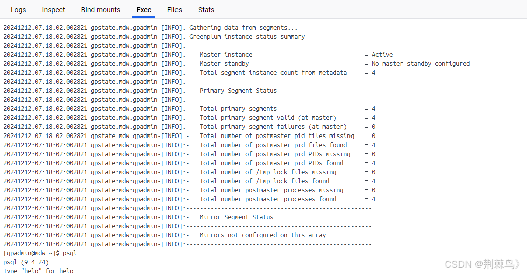 2024年最新使用docker部署greenplum集群_greenplum docker-CSDN博客