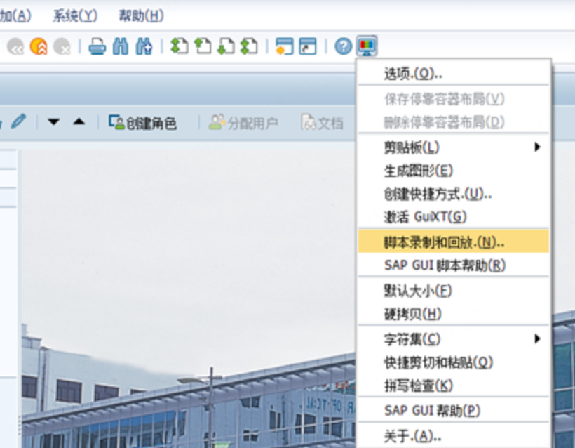 SAP 开启录制与回放功能（RZ11 : sapgui/user_scripting_sap脚本录制和回放是灰色的-CSDN博客