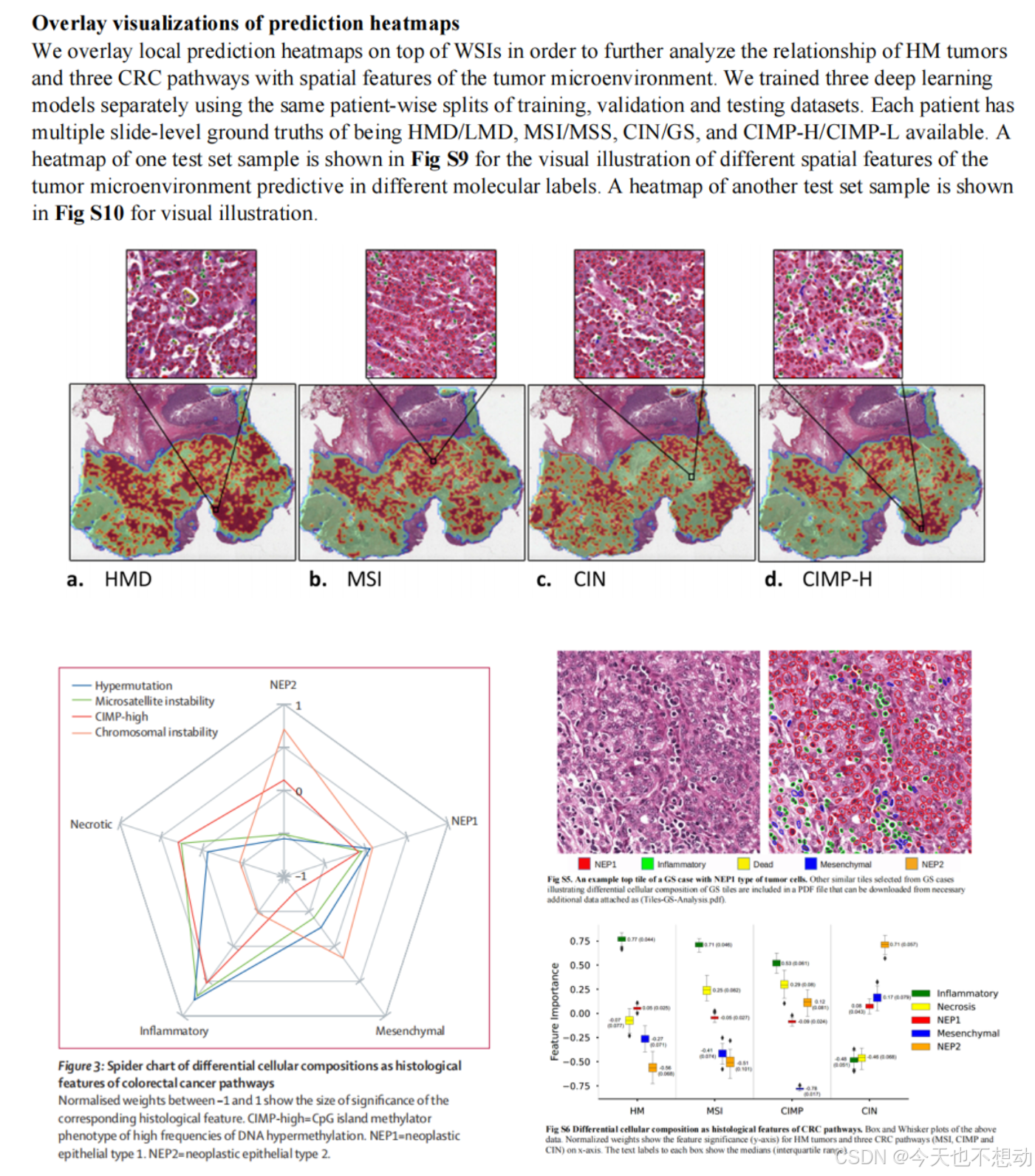 HoVer-Net_实操与文章应用思路_hovernet-CSDN博客