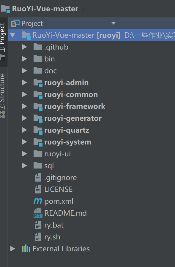 用idea启动并使用若依平台RuoYi-Vue前端分离版_若依前端启动-CSDN博客