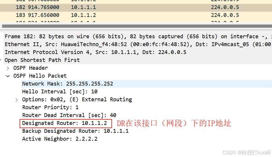 HCIE：详解OSPF，从基础到高级特性再到深入研究_ospf协议-CSDN博客