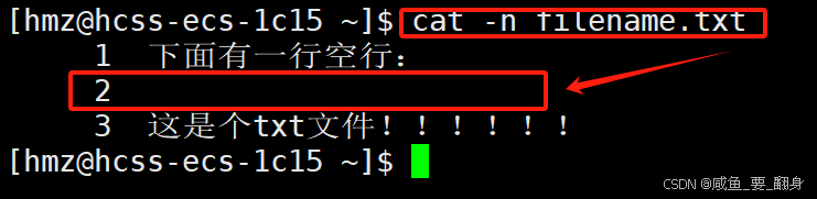 Linux基本命令篇 —— cat命令_linux cat-CSDN博客