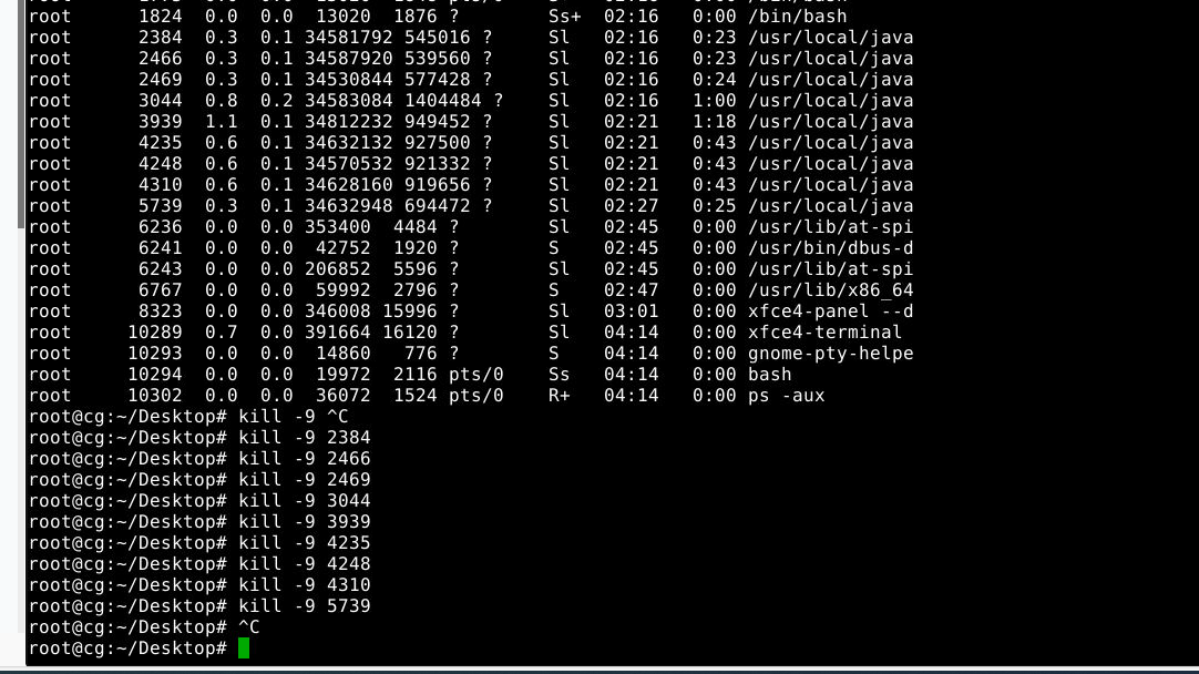 Cannot connect to already running IDE instance.IllegalStateException: Process “/usr/local/java ...