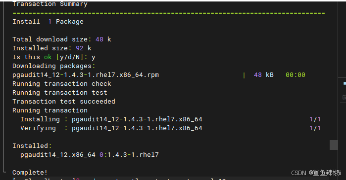 pgaudit插件-pgslq-CSDN博客