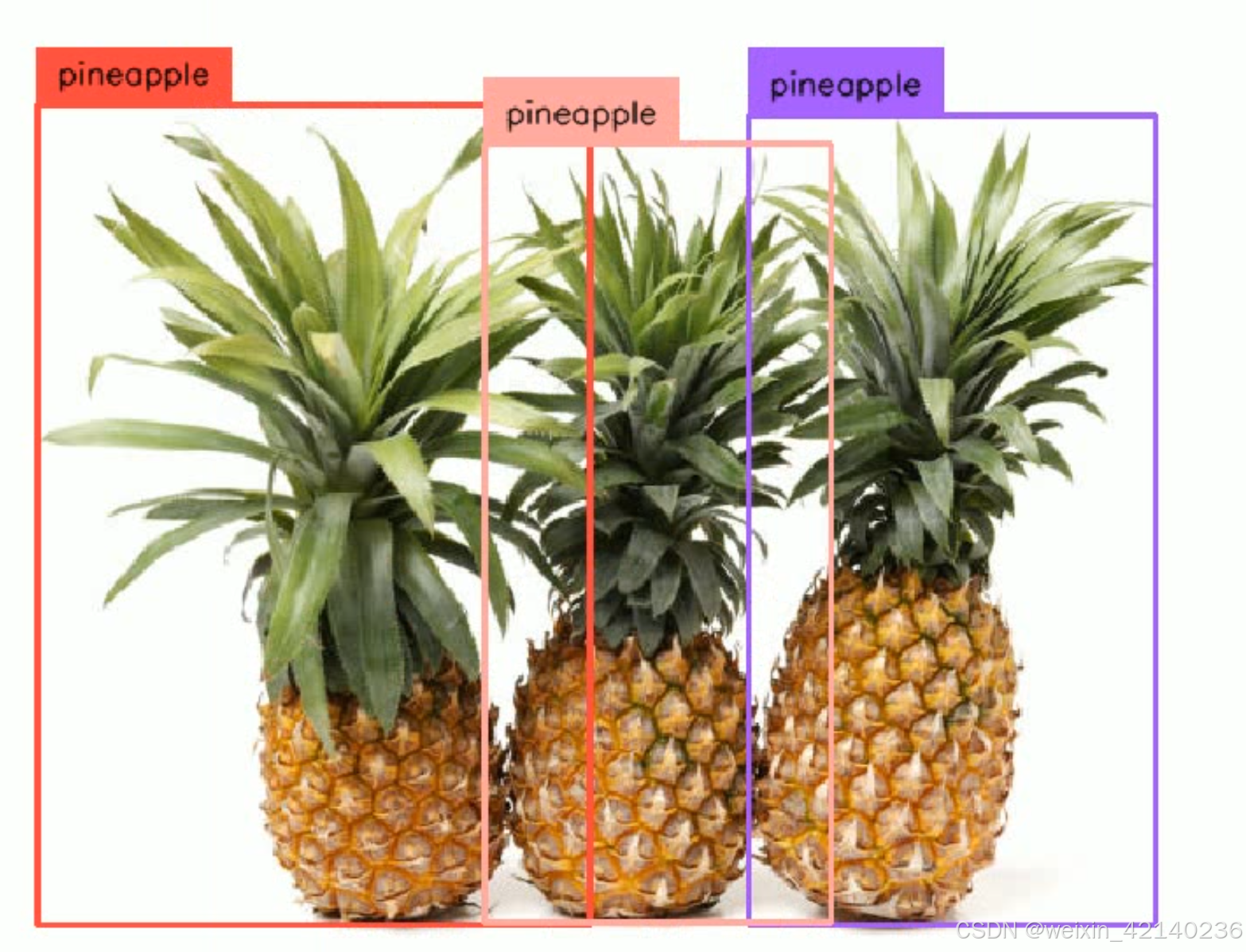 数据集-目标检测系列- 凤梨 菠萝 检测数据集 pineapple ＞＞ DataBall-CSDN博客