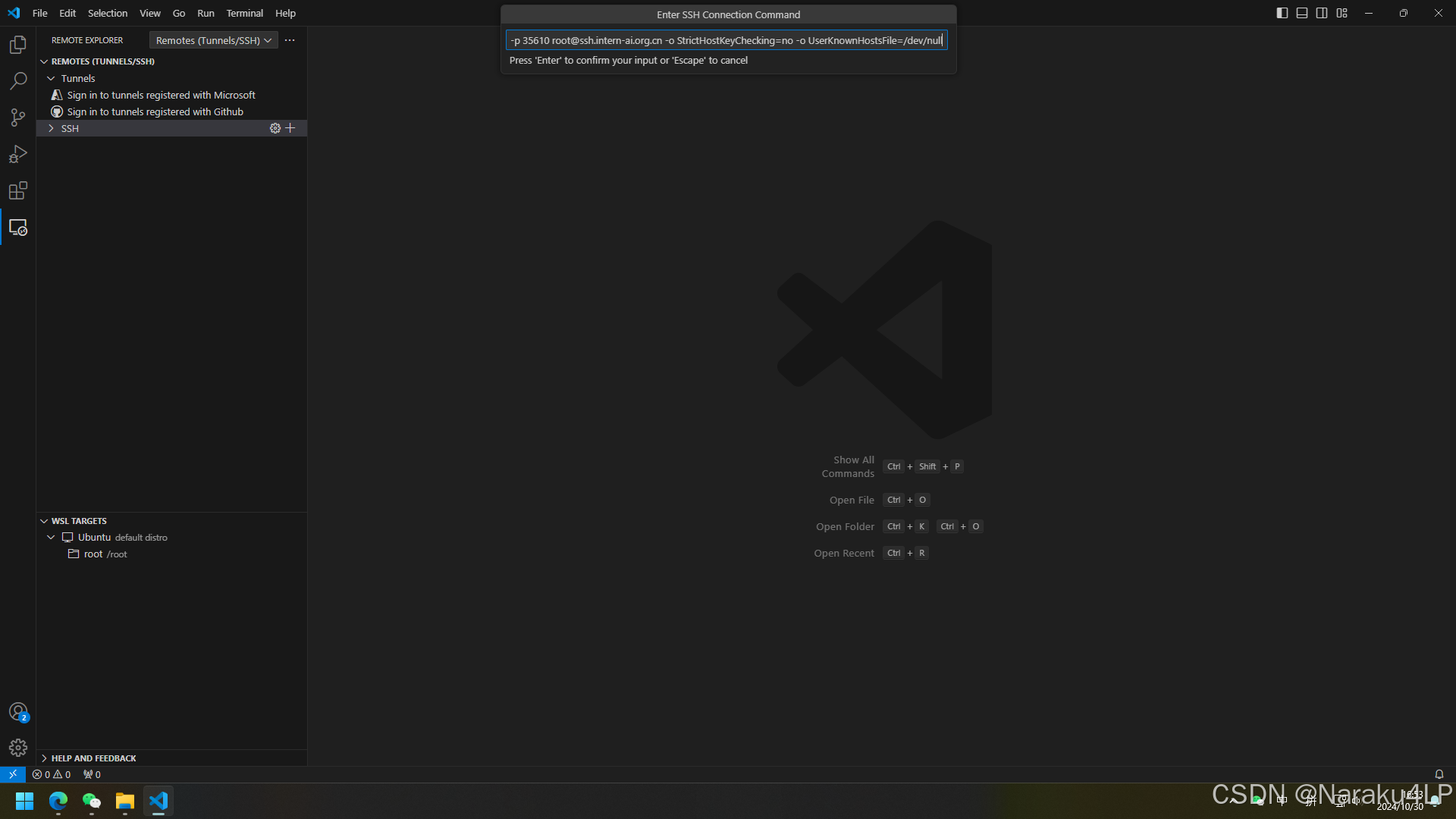 第四期书生大模型实战营-L0G1000-闯关任务 端口映射服务-CSDN博客