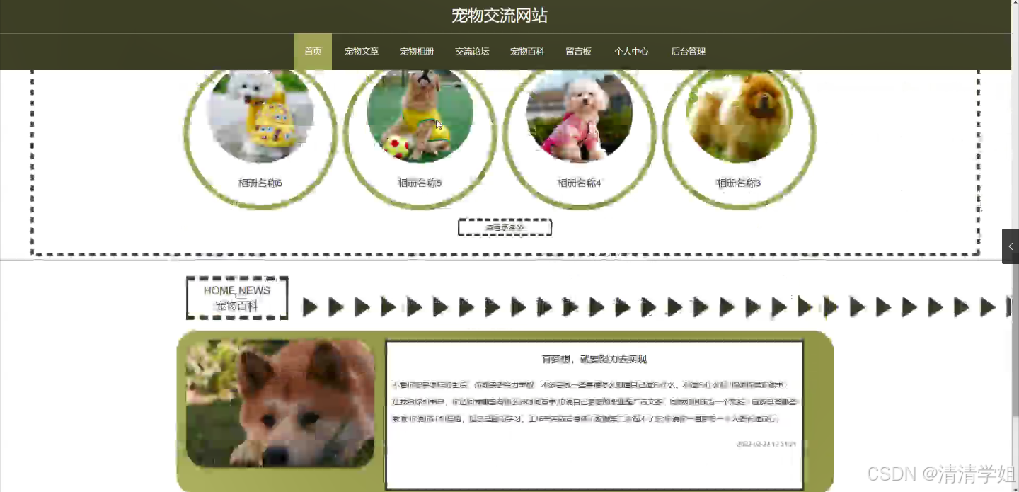 Java计算机毕业设计宠物交流网站(开题程序论文)基于java的宠物爱好者交流网站的设计与实现 Csdn博客