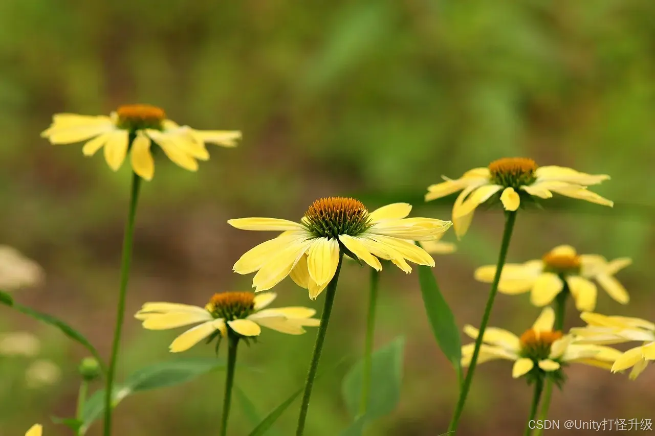 AndroidAnnotations：简化Android开发的框架-CSDN博客