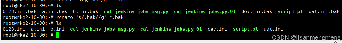 rename 命令介绍和使用案例_rename命令-CSDN博客
