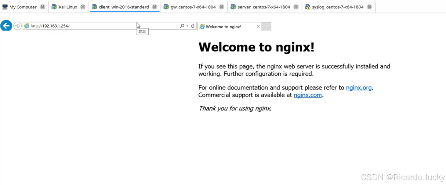 Nginx服务建立_nginx服务器-CSDN博客