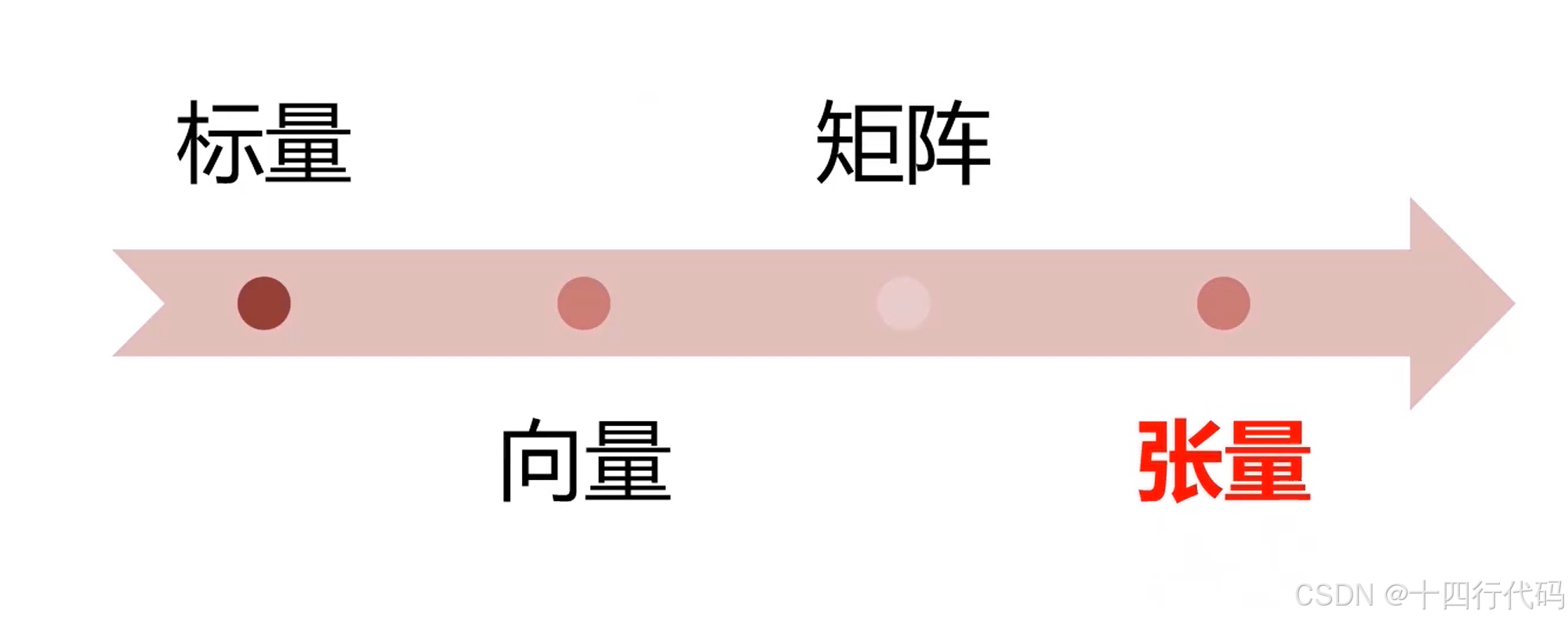 Pytorch 入门指南2：tensor 的深度解析（概念篇） Csdn博客 1625