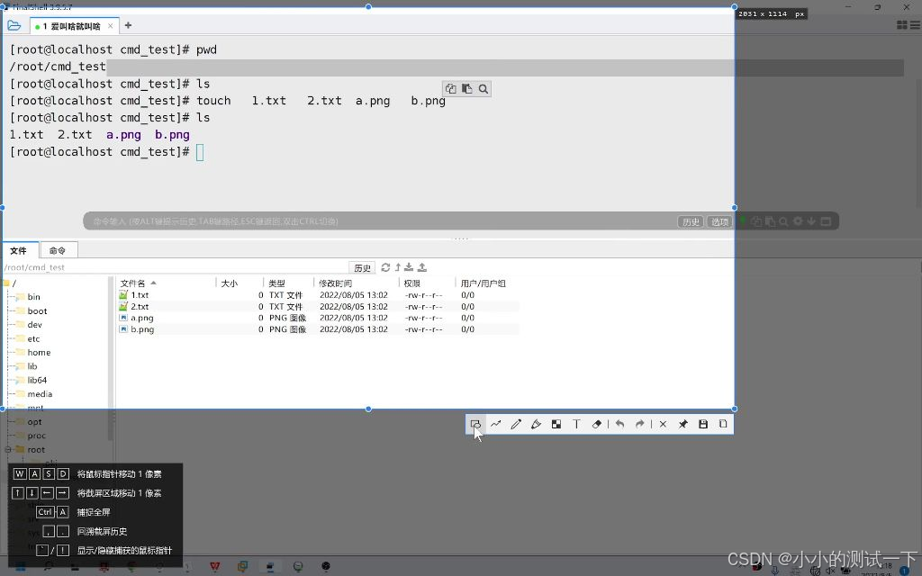 Linux命令（touch,mkdir,rm和mv）_linux touch和mkdir-CSDN博客