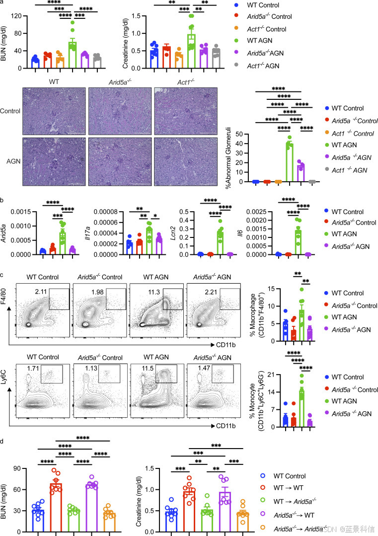 RBP研究技术RIP-seq+Polysome profiling_rna-seq结合rip-seq-CSDN博客