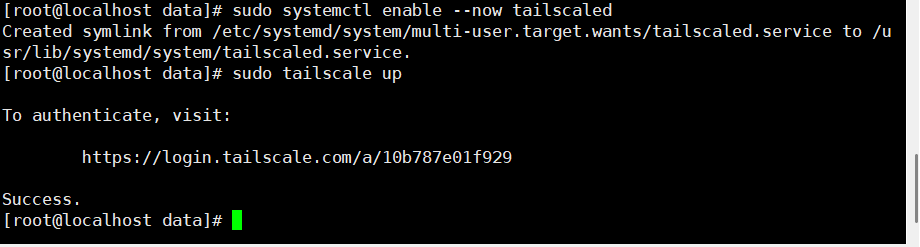 内网穿透工具Tailscale 的使用-CSDN博客