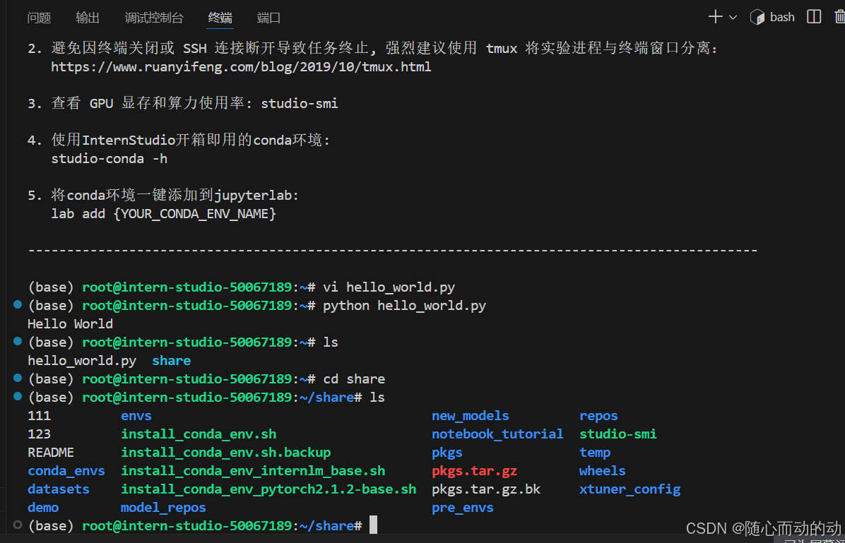 书生实战营-闯关L0G1000-CSDN博客
