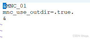 MITgcm试验上手及NETCDF格式输出的调试-CSDN博客