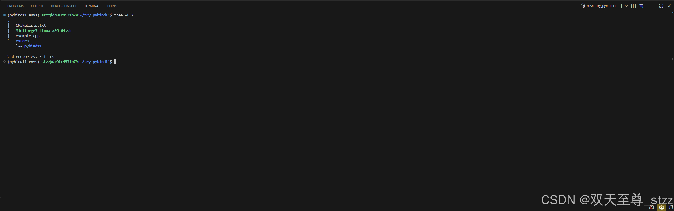 如何在Python中调用C++代码？-CSDN博客