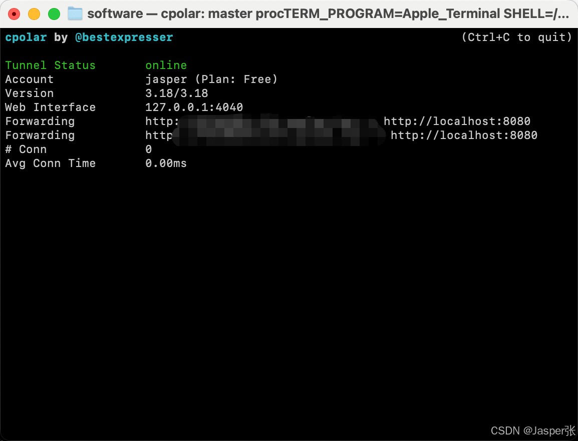 内网穿透工具使用指南：ngrok 和 cpolar-CSDN博客