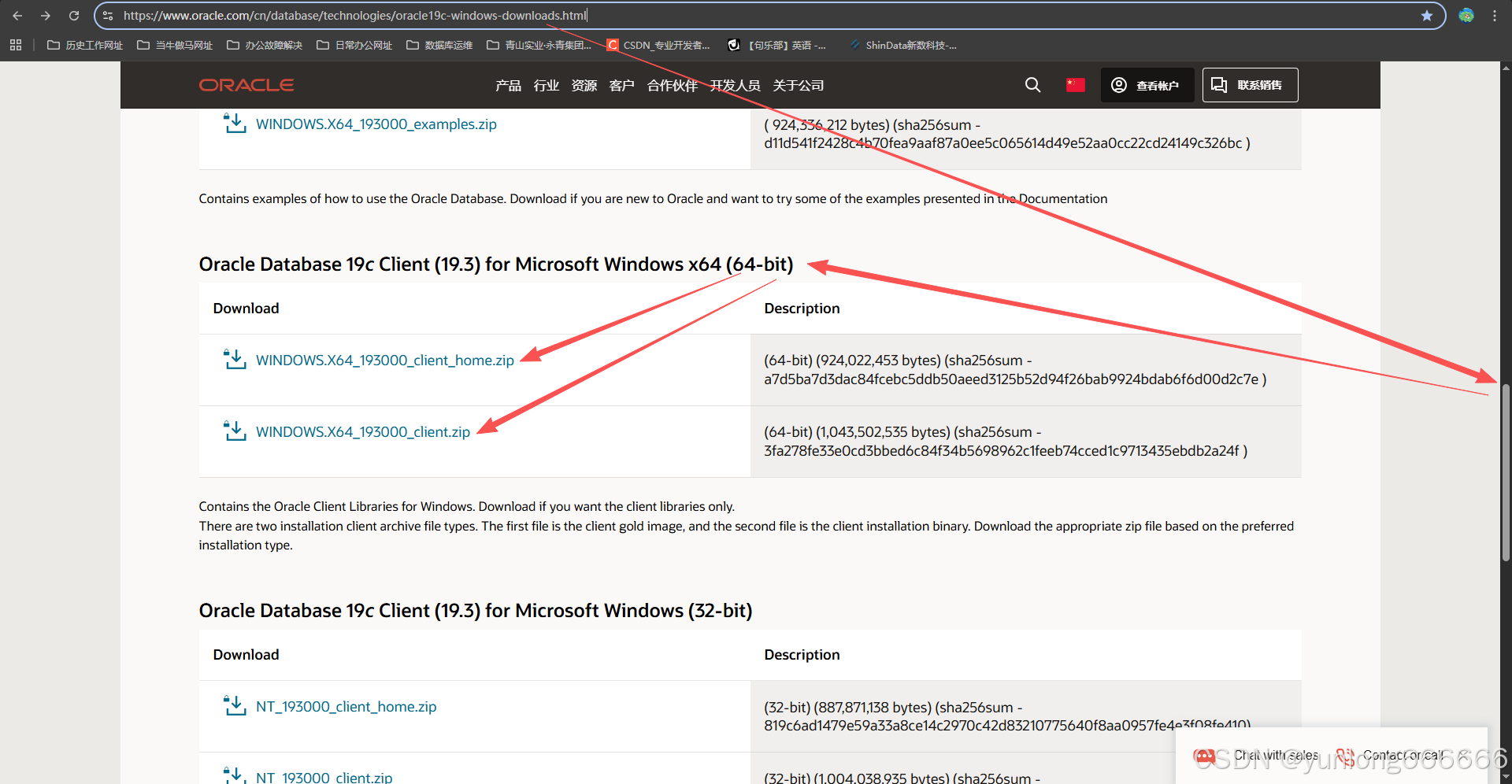 【Oracle客户端部署】保姆级Oracle 19c Client客户端安装与配置：下载安装+tnsnames.ora配置+环境变量配置+PLSQL软件配置+PLSQL连接_oracle ...