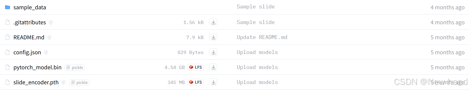 解决使用timm.create_model出现的网络报错问题，从本地加载参数文件_an error happened while trying to locate the files-CSDN博客