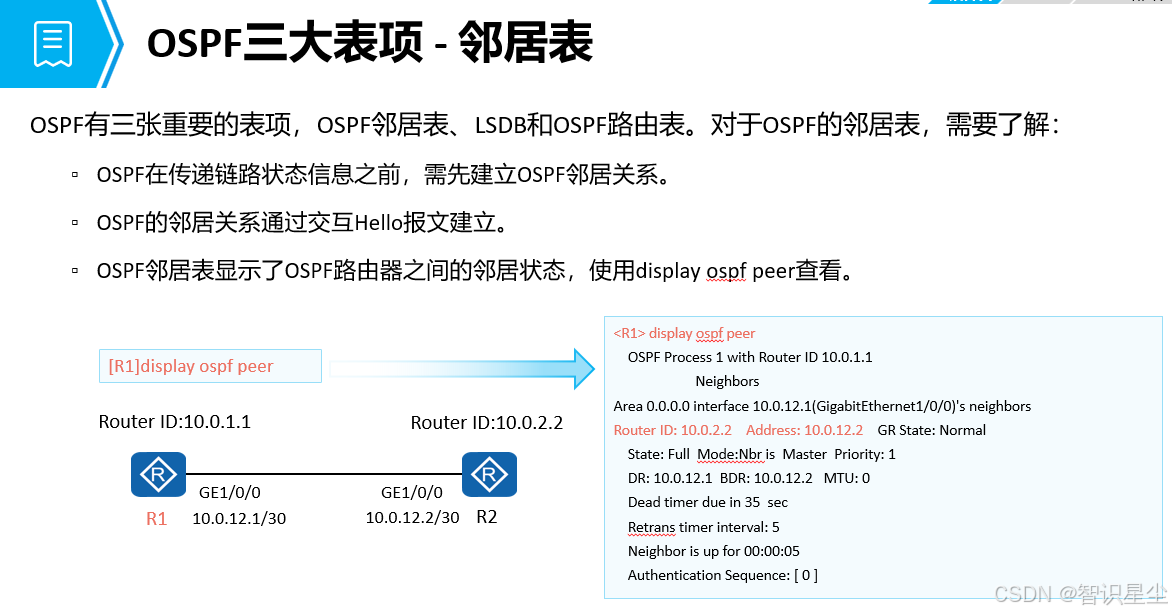 OSPF基础_ospf报文格式-CSDN博客