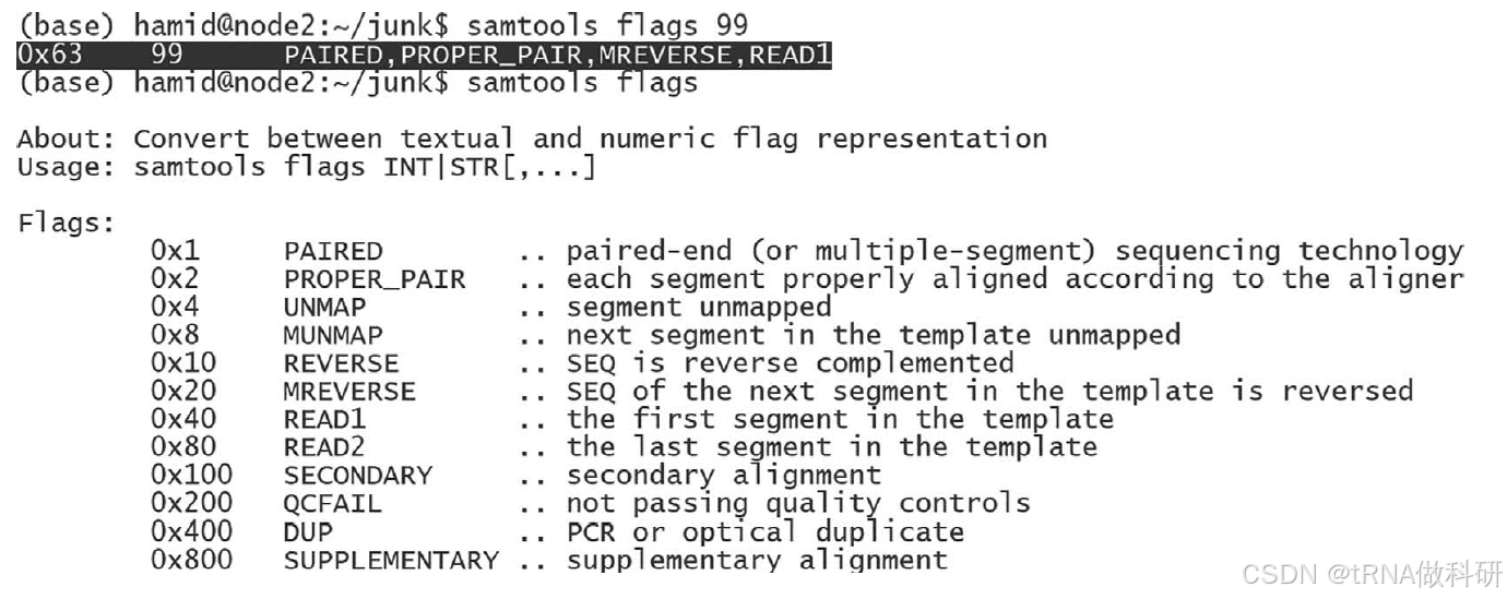 计算生物学与生物信息学漫谈-6-序列比对-BAM/SAM详解_序列比对sm和nm的区别-CSDN博客