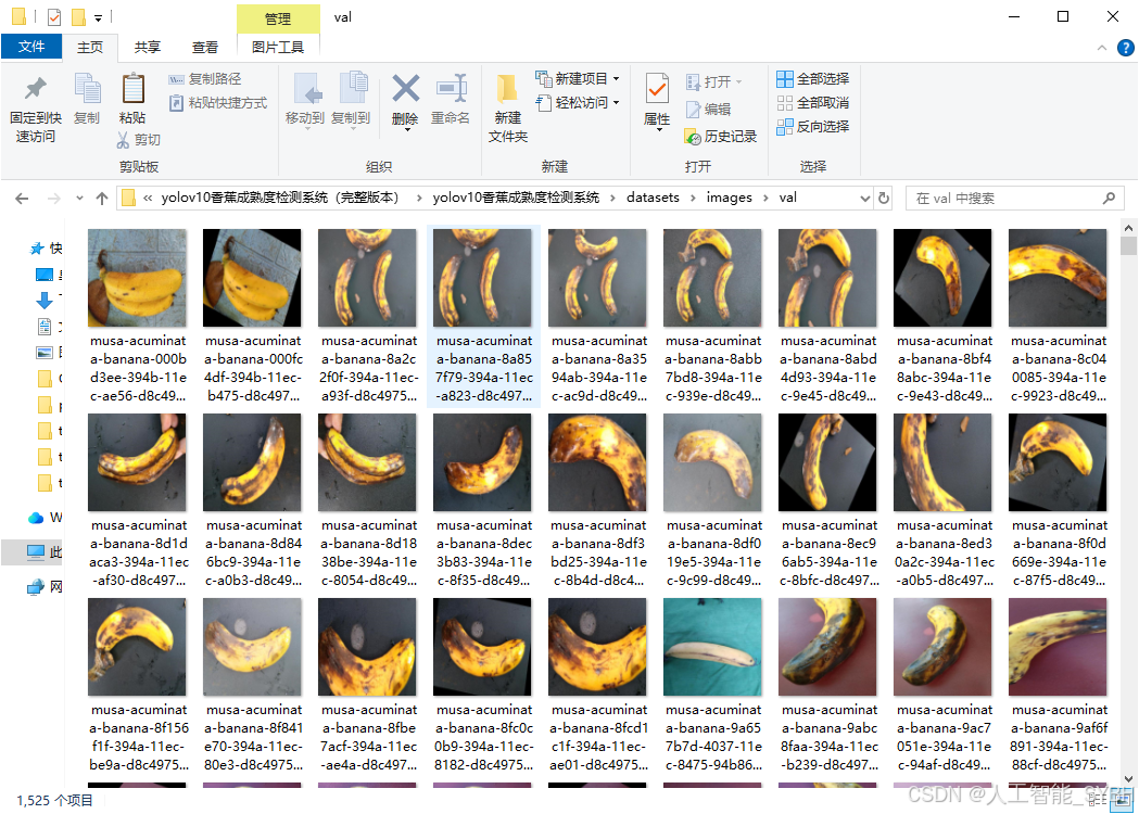 基于yolov8的香蕉成熟度检测系统（深度学习模型ui界面python代码训练数据集） Csdn博客