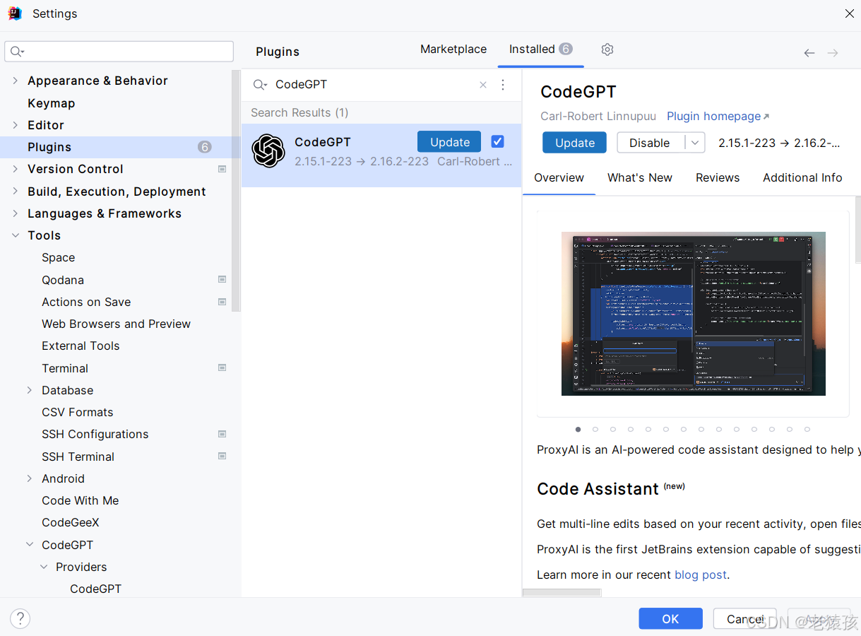 手把手教你把DeepSeek接入IDEA_idea接入deepseek-CSDN博客
