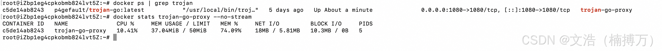 【超简单教程】Docker部署轻量级Trojan代理：从内存爆炸到完美解决_trojan代理 docker加速-CSDN博客