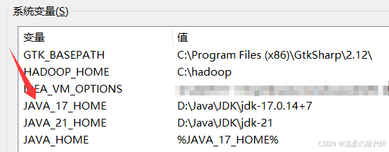 安装并切换多个JDK版本（Win11-保姆级）_win11切换java版本-CSDN博客