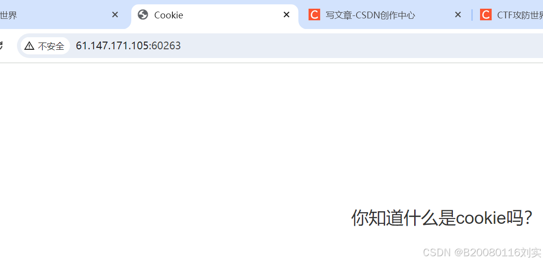 CTF攻防世界小白刷题自学笔记8_cookie ctf-CSDN博客
