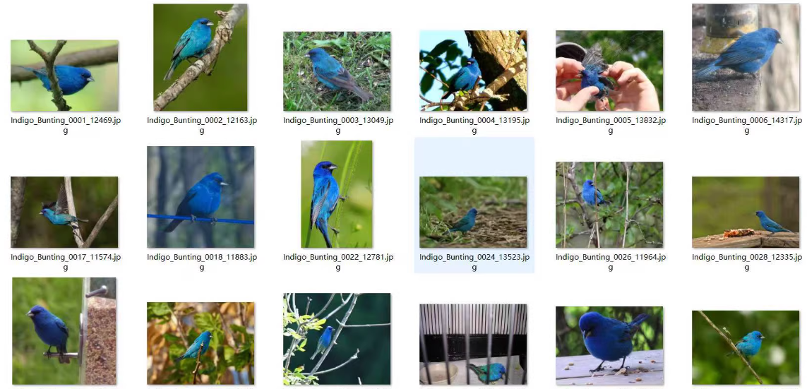 CUB-200-2011 鸟类数据集的训练及应用 鸟类识别 适用于细粒度分类研究，多种计算机视觉任务_cub-200-2011数据集-CSDN博客