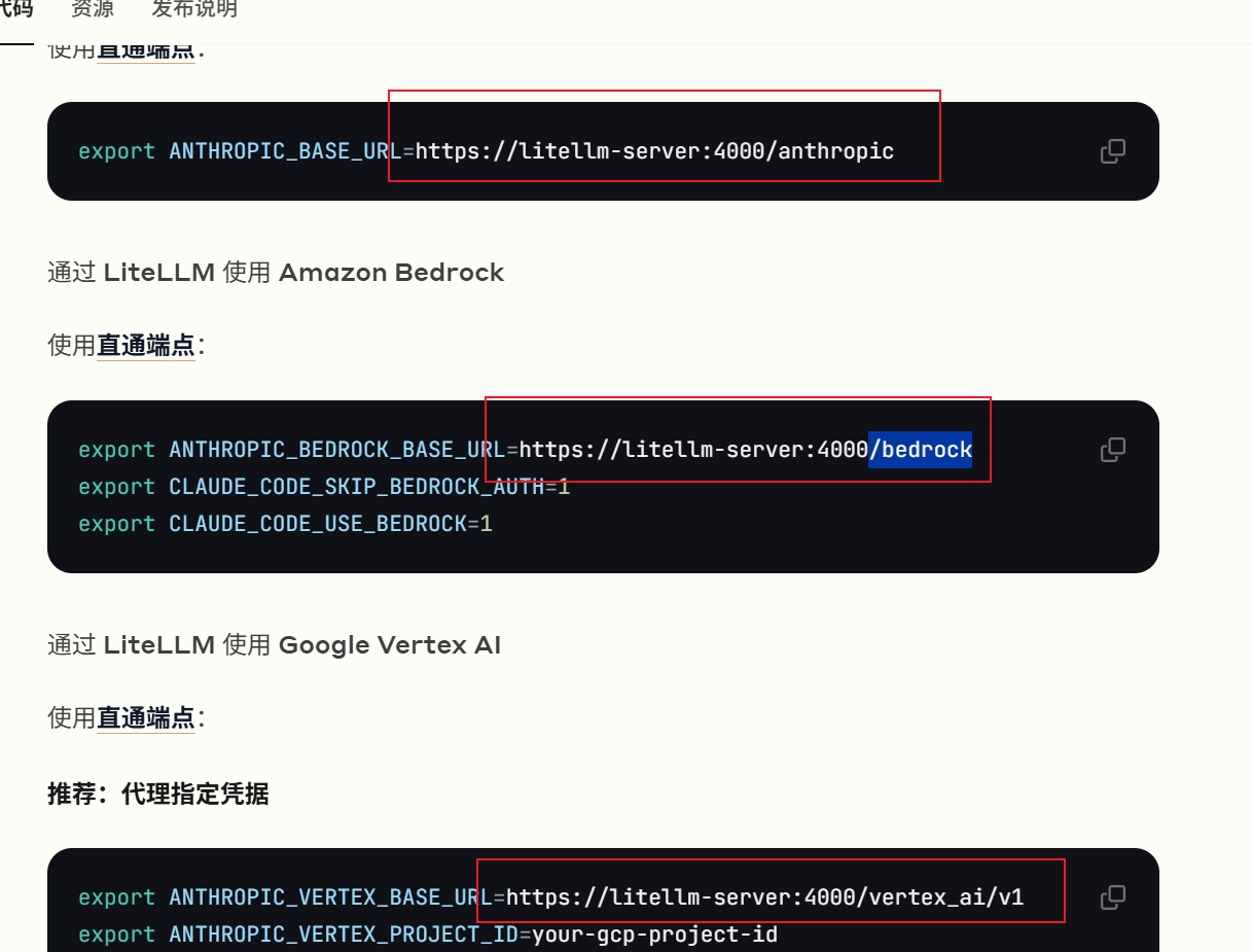 litellm 适配 claude code遇到的坑记录_litellm claude code-CSDN博客