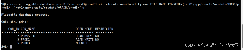 Linux Oracle19c的PDB的迁移（Relocating a PDB ）_oracle pdb迁移-CSDN博客